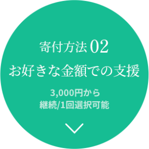 Donation - maaaru（日本寄付財団）