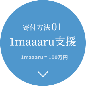 Donation - maaaru（日本寄付財団）